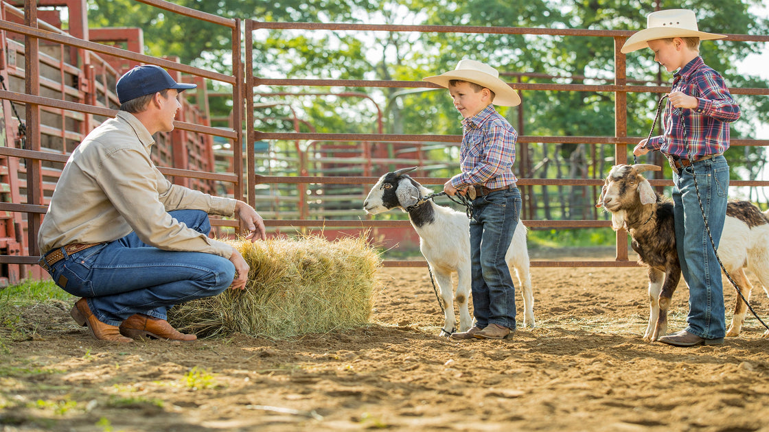 Boys Jeans | Hayloft Western Wear