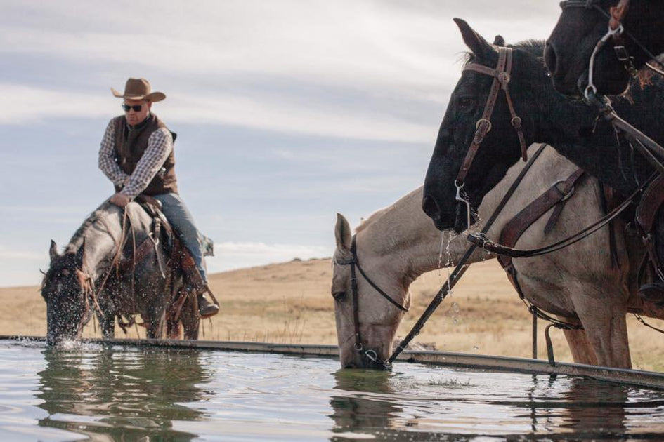 Mens Wallets | Hayloft Western Wear