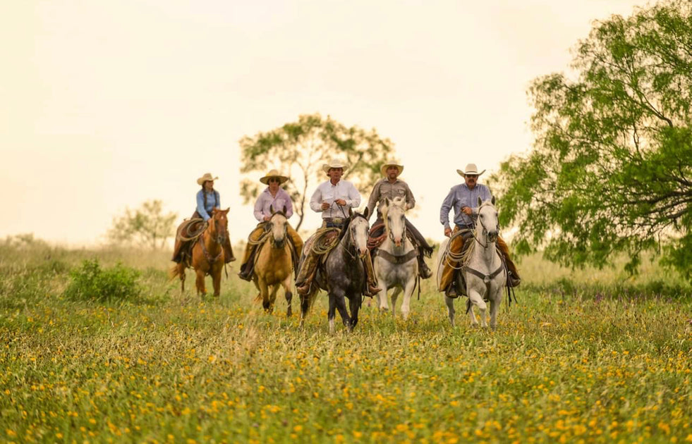 Mens Mid Rise Jeans | Hayloft Western Wear